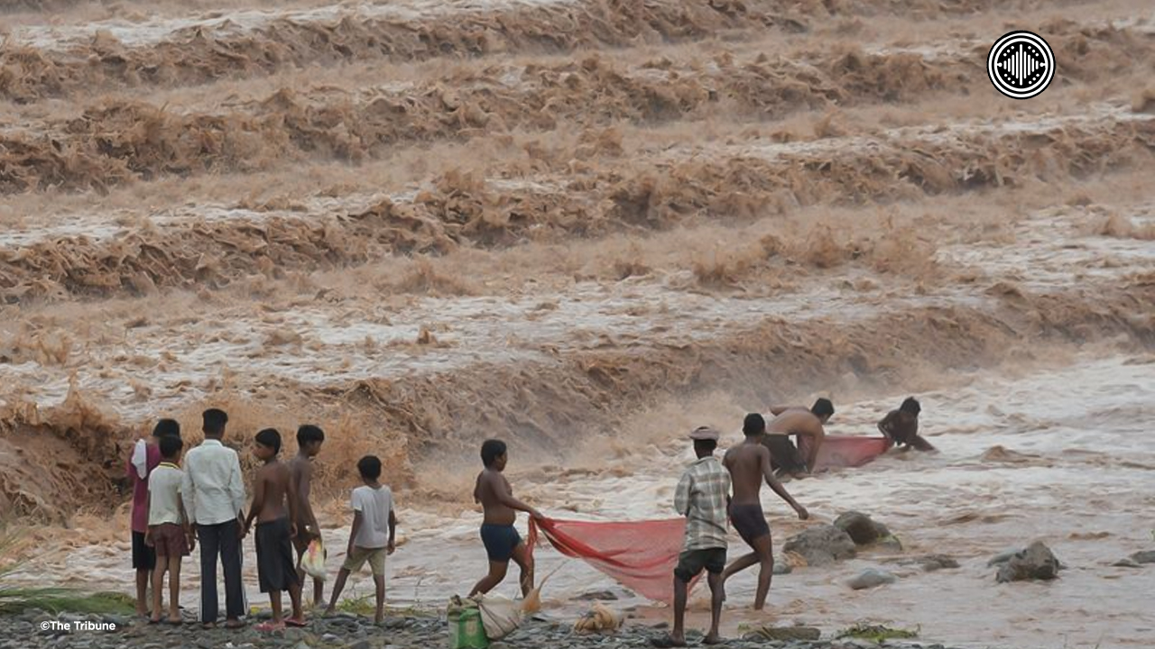 Perilous Play: Children Risk Lives Near Swollen Ghaggar Despite ...
